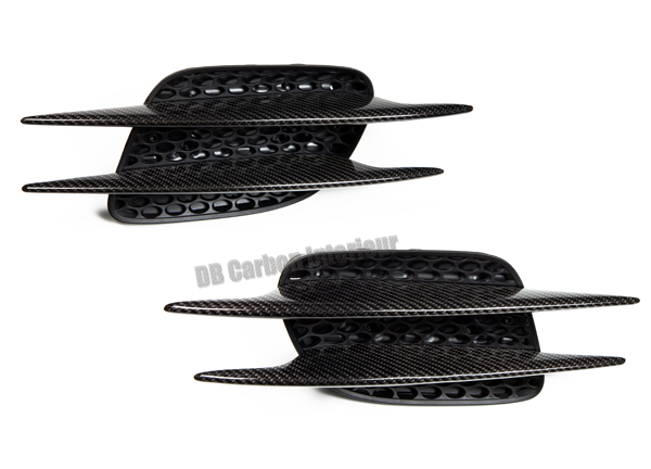 Sl65 Front Fenders Carbon